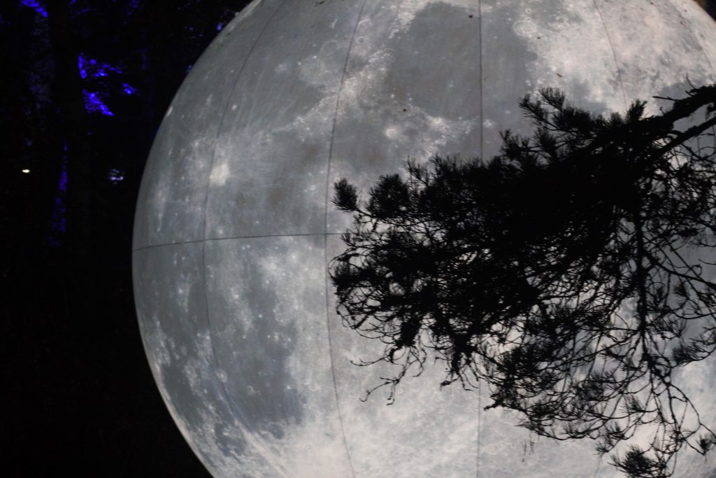 Cat-Sìth - Folklore Scotland