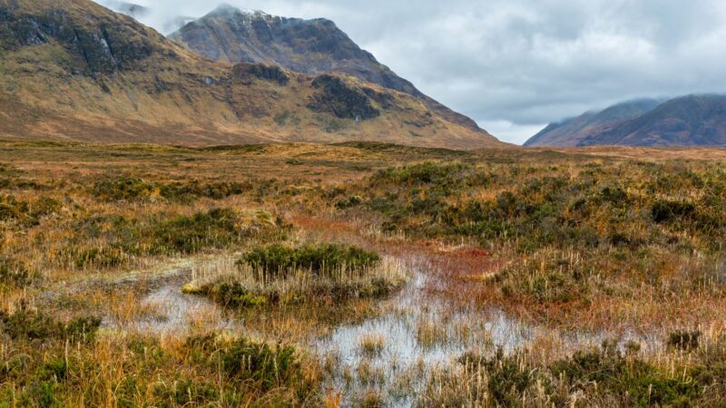 Cat-Sìth - Folklore Scotland