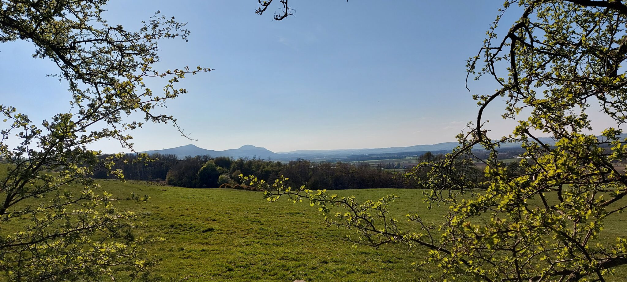 Nuckelavee - Folklore Scotland